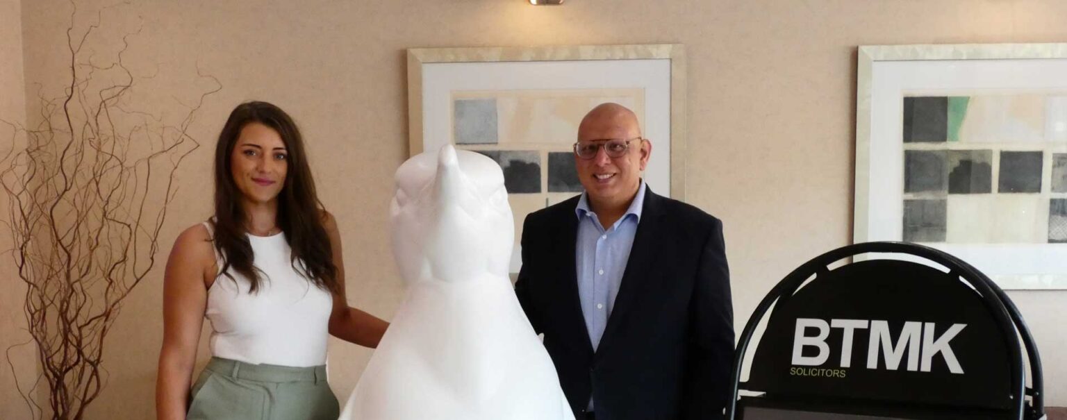 Haven’s Art Trail - Waddle on Sea | BTMK Solictiors